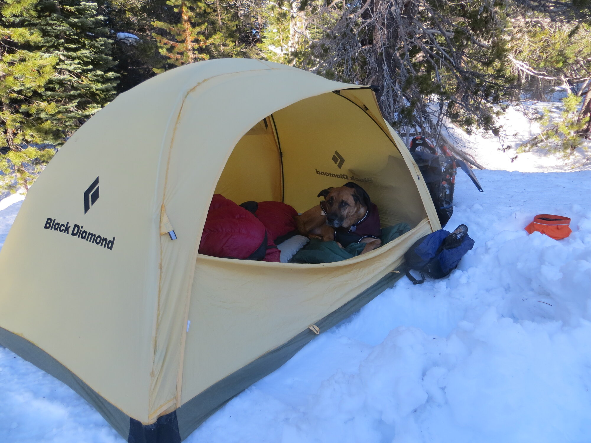 Optimus 77A | Classic Camp Stoves